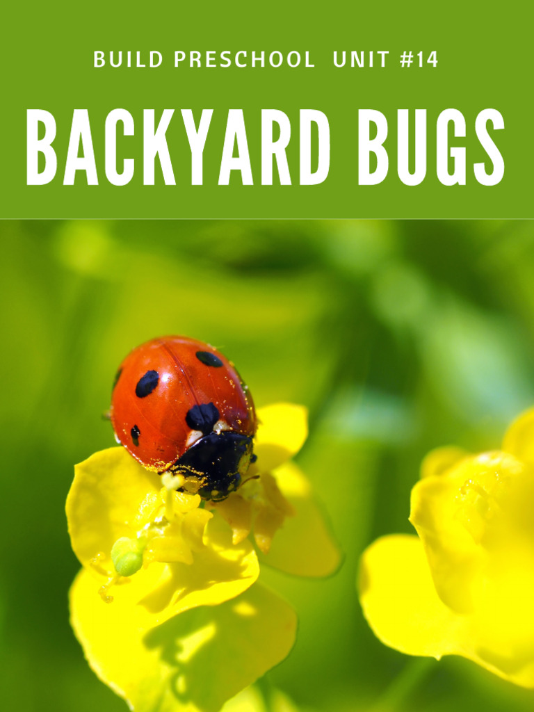 backyard_bugs_thematic_unit | PDF | Preschool | Butterfly