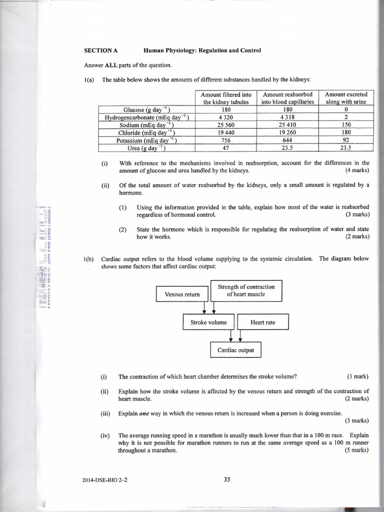2014 DSE Biology Paper 2 | PDF | Kidney | Heart