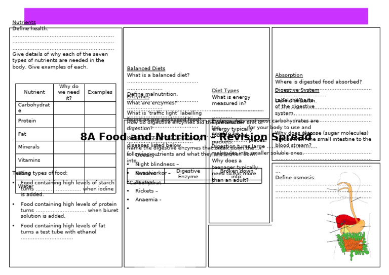 8A Food and Nutrition | PDF | Digestion | Nutrition