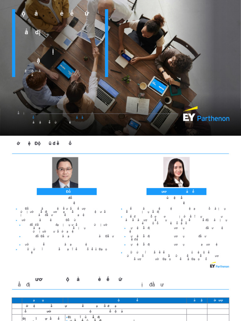 (EY-Parthenon) FDD Presentation Deck - 18 Nov 2025 - VN | PDF
