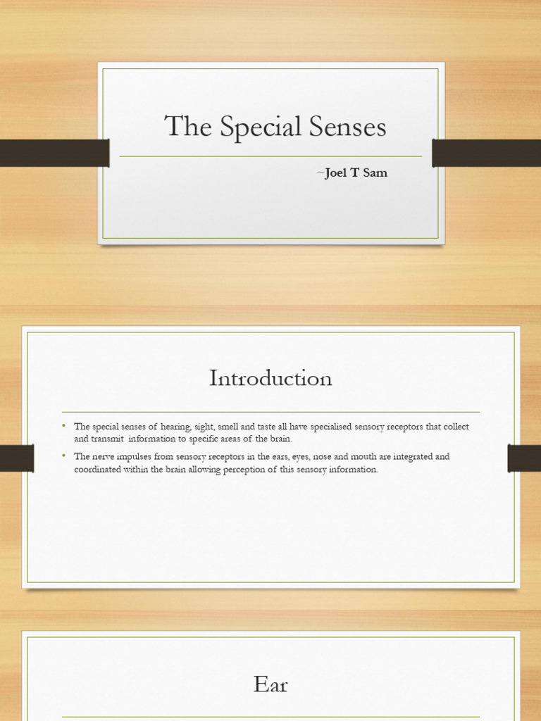 Special Senses | PDF | Ear | Auditory System