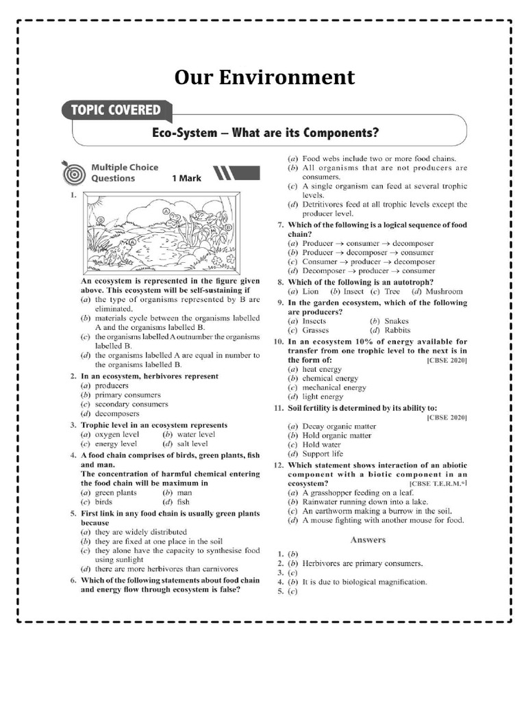 Our Environment Class 10 | PDF