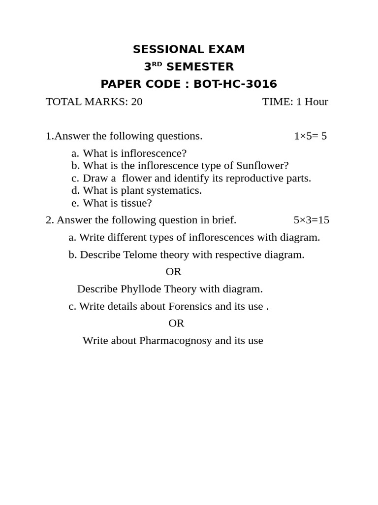 Sessional Exam | PDF