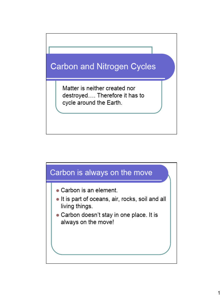 041712_Carbon_and_Nitrogen_Cycles | PDF | Nitrogen | Carbon Cycle