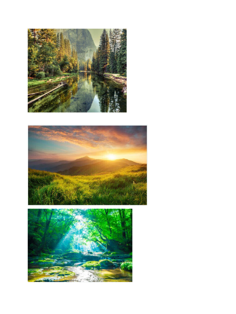 Nature | PDF