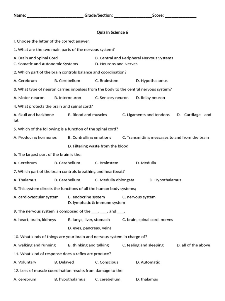 Science 6 Quiz Nervous System | PDF | Central Nervous System | Brain