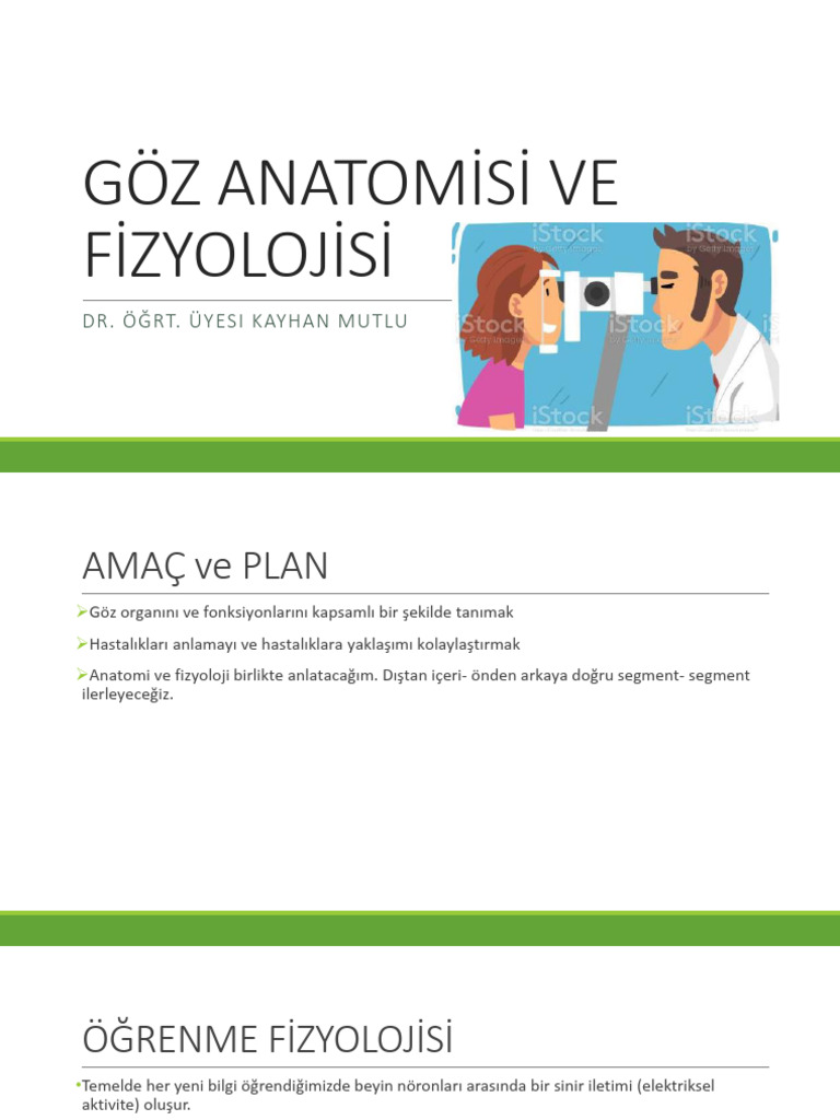 Göz Anatomisi Ve Fizyolojisi | PDF