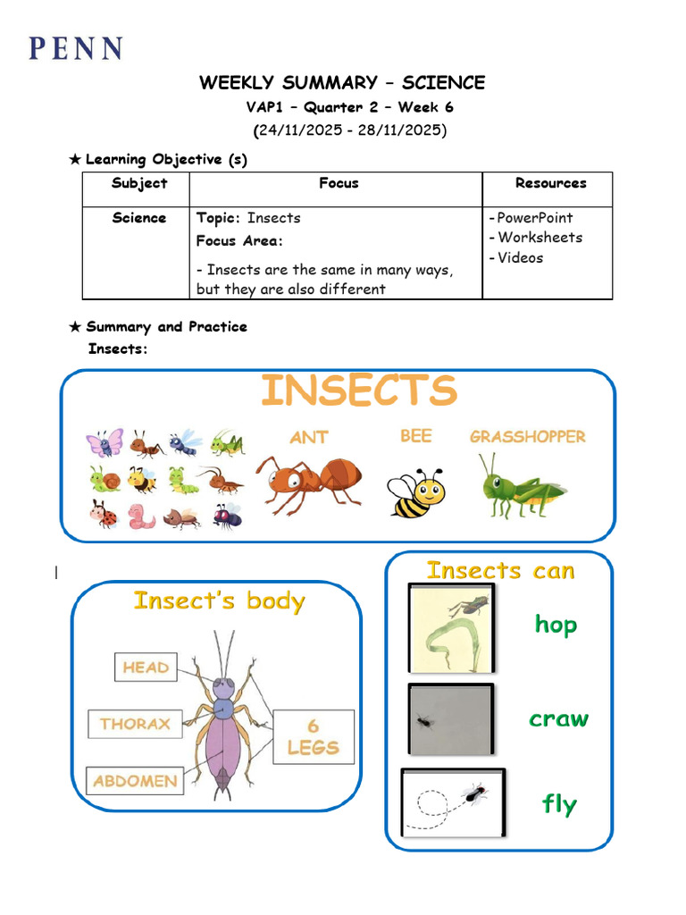 Weekly Summary Vap 1 - Science - Quarter 2 - Week 6.docx-1 | PDF