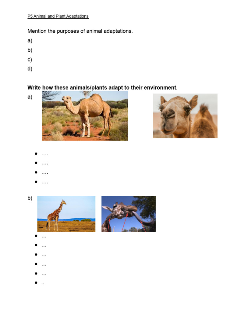 P5 Animal and Plant Adaptations Complete | PDF