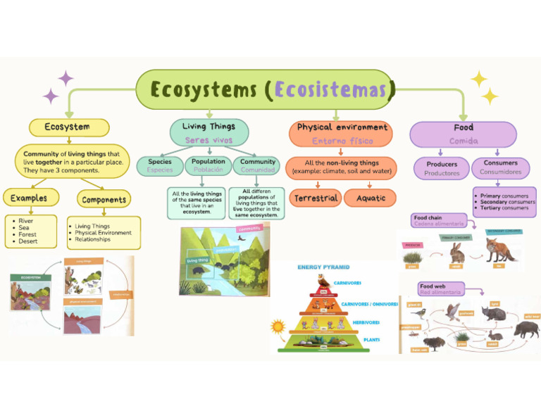Ecosystems | PDF