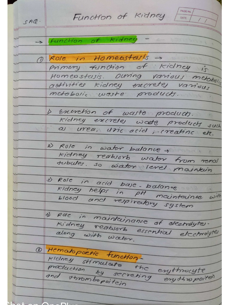 Function of Kidney SAQ 5 Marks | PDF