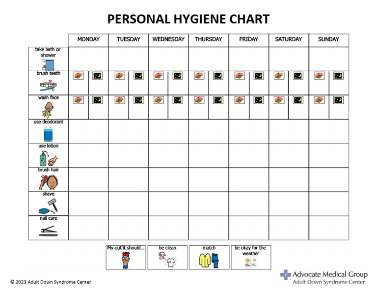 Personal Hygiene Chart 2 | PDF