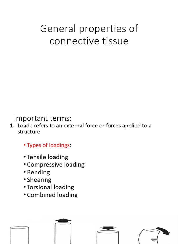 General Properties of CONNECTIVE TISSUE | PDF | Deformation ...