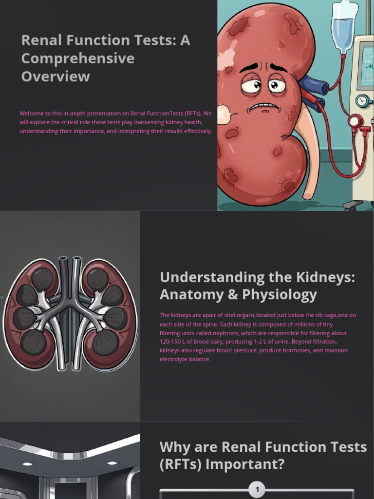 Final Renal Function Tests A Comprehensive Overview PDF | PDF | Kidney ...