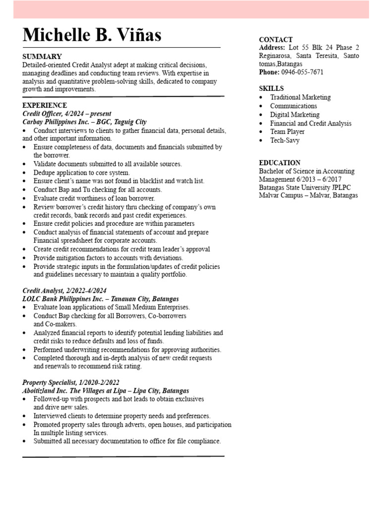 Resume - Michelle B. Vinas | PDF | Financial Analyst | Credit