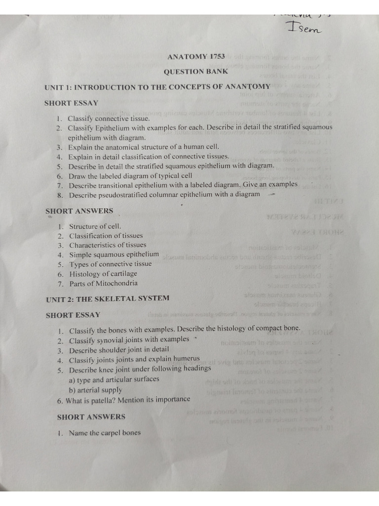 Anatomy Question Bank | PDF