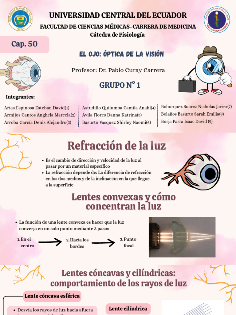 El Ojo Óptica de La Visión - 20260202 - 120556 - 0000 | PDF | Ojo ...
