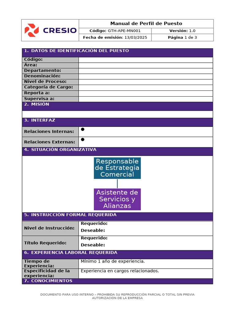 Formato Manual de Funciones | PDF | Business