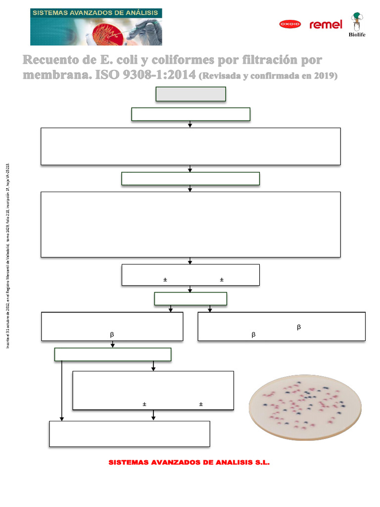 Aguas - E Coli Coliformes UNE-En ISO 9308-1-2014 | PDF | Microorganismo ...