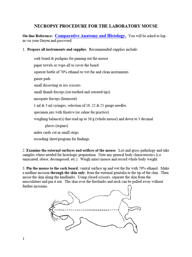 Mouse Necropsy Procedure | PDF | Abdomen | Skull