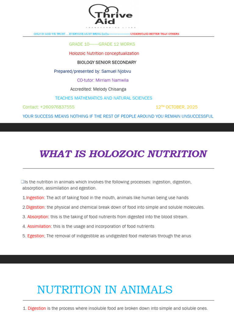 Holozoic Nutrition Biology | PDF | Digestion | Stomach