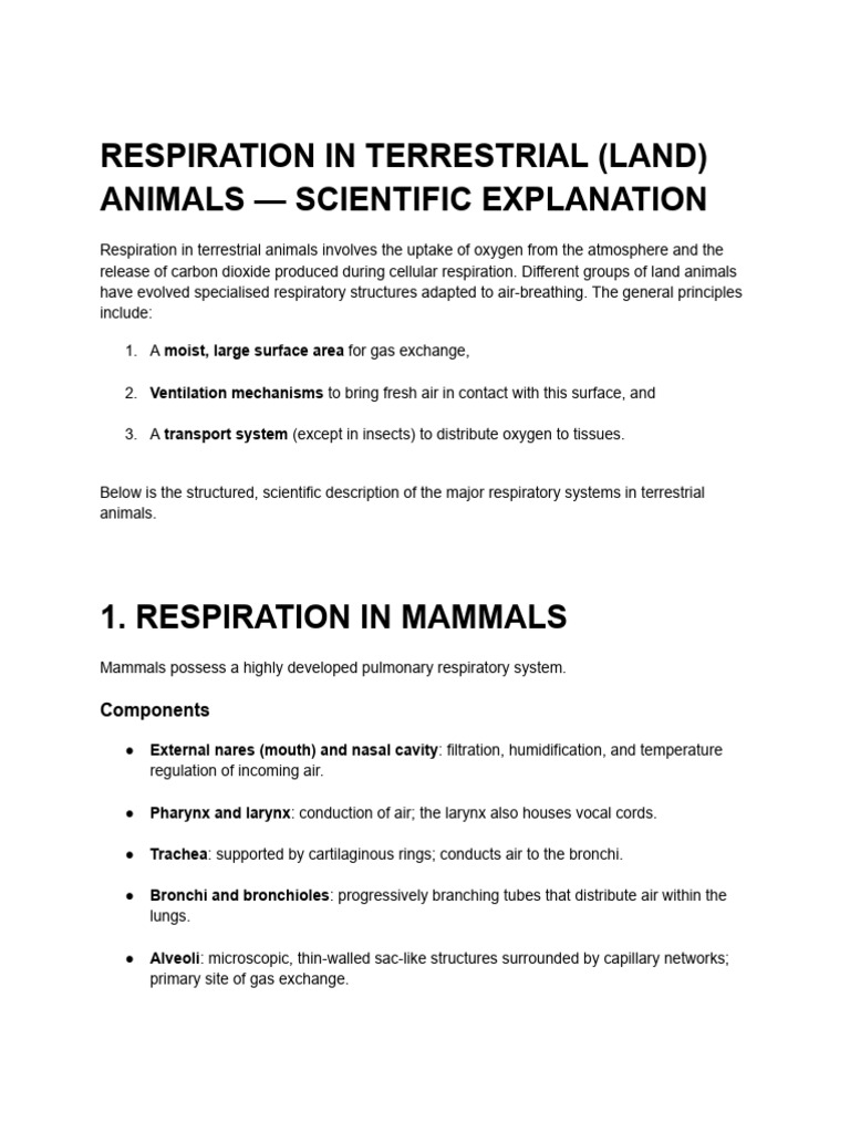 Respiratory animals: with scientific explanations | PDF | Respiratory ...