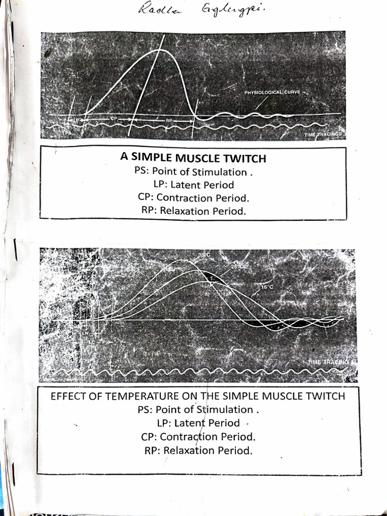 Experimental Physiology Graphs | PDF | Muscle Contraction ...
