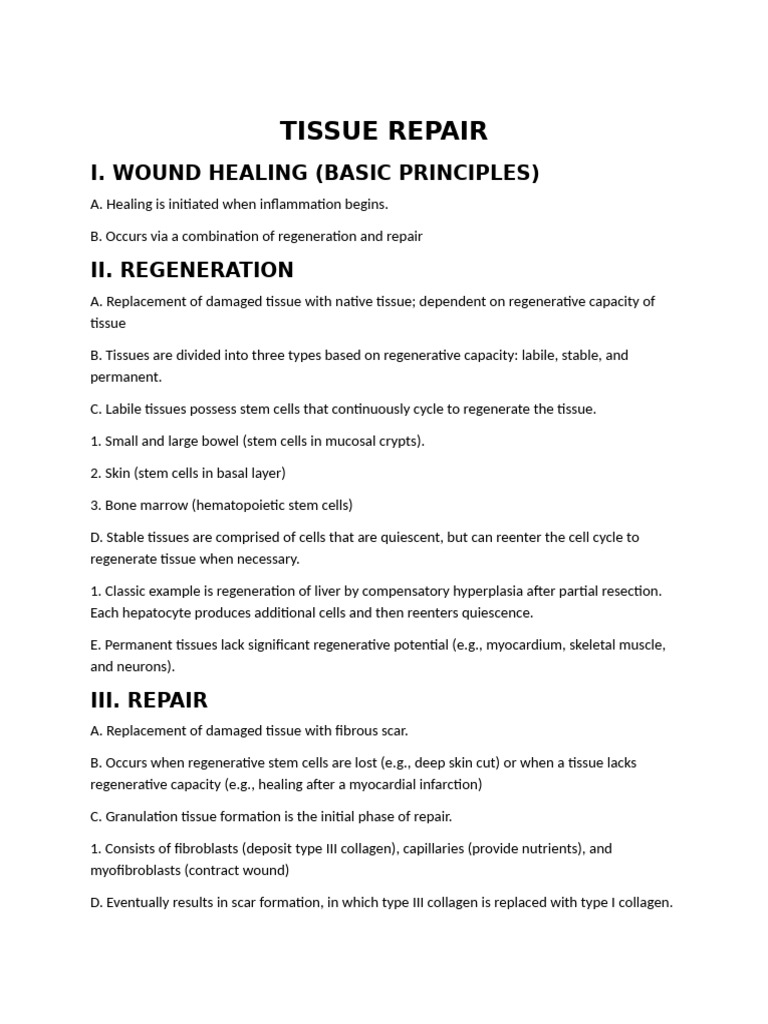 (Tissue Repair) Pathology Notes | PDF | Healing | Wound Healing