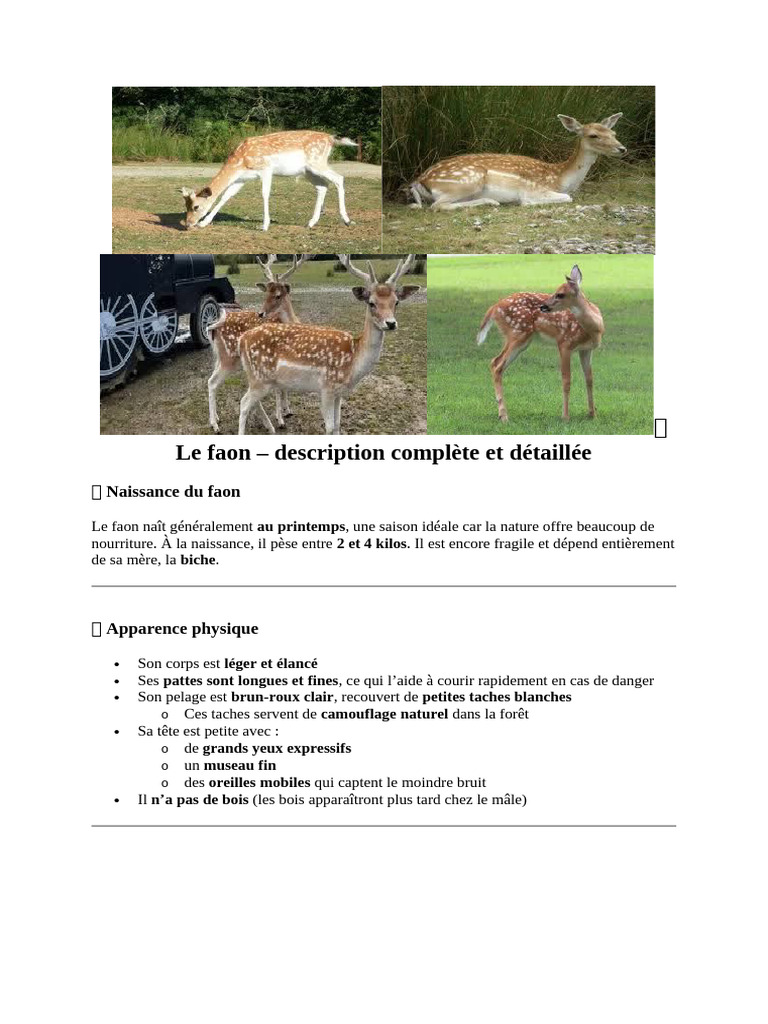 ? Le Faon | PDF