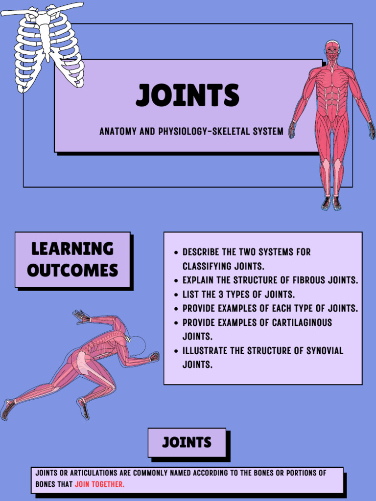 Joints | PDF | Bone | Joint