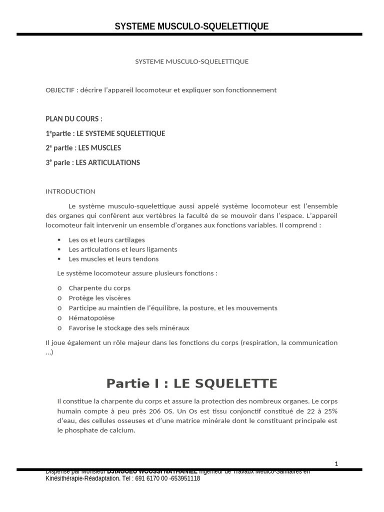 Anatomie Système Locomoteur | PDF | Vertèbre | Muscle