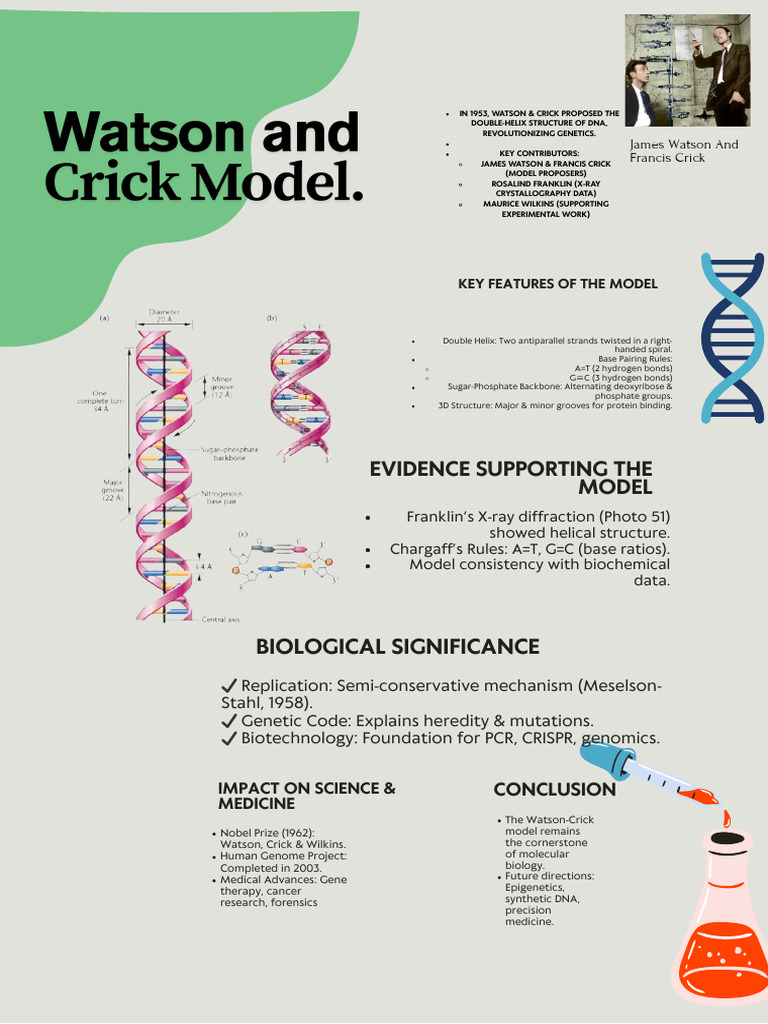 Colorful Hand Drawn Science Lab Safety Classroom Poster | PDF | Nucleic ...