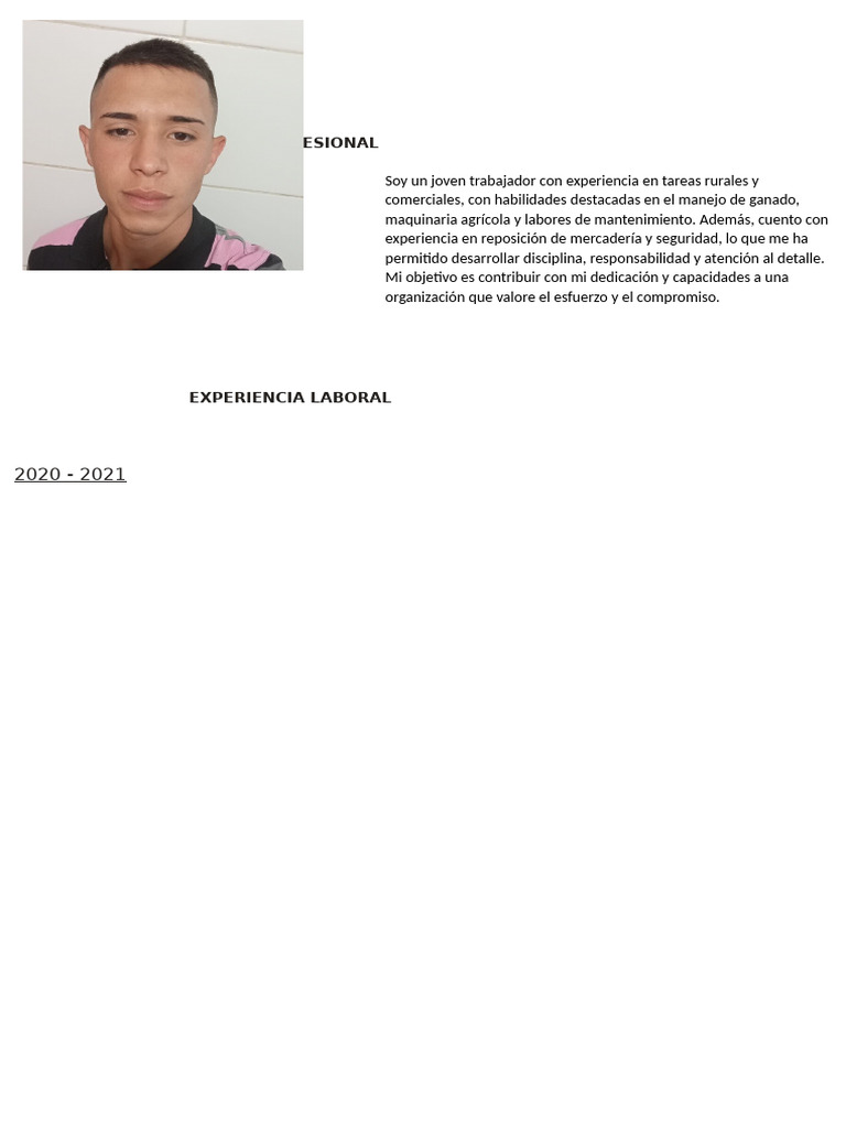 Gabriel Baez CV | PDF