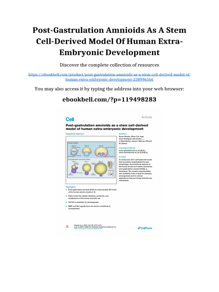 Post-gastrulation amnioids as a stem cell-derived model of human extra ...