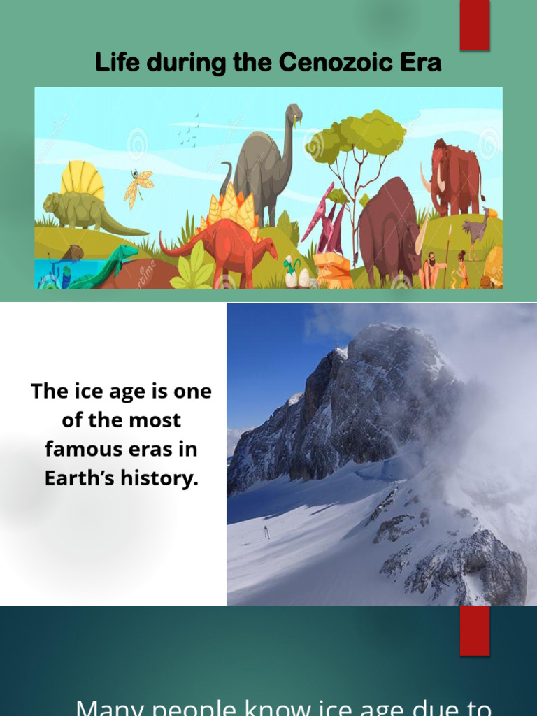 Life During The Cenozoic Period | PDF | Stratigraphy | Earth Sciences