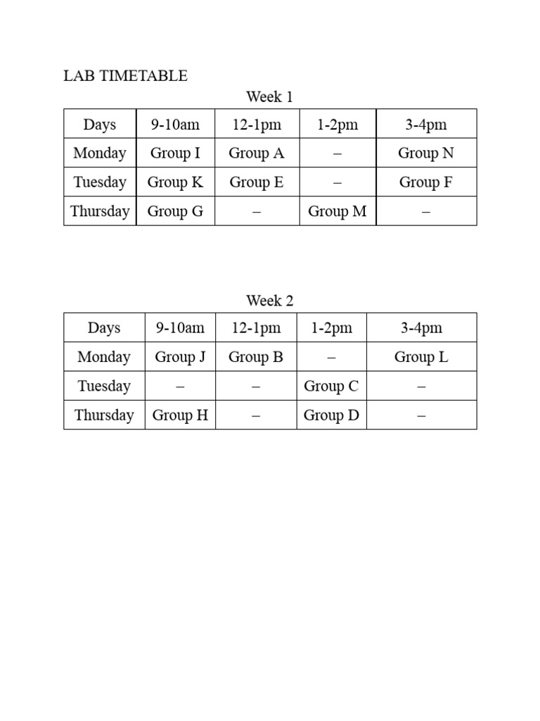 Lab Timetable | PDF