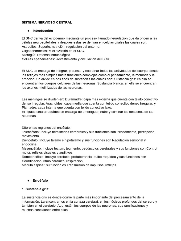Resumen Exposición SNC | PDF | Cerebelo | Sistema nervioso central
