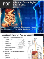 Diagnosis Edema Tungkai: Unilateral vs Bilateral | PDF