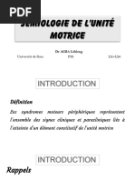 Comprendre le syndrome myogène | PDF | Contraction du muscle | Muscle