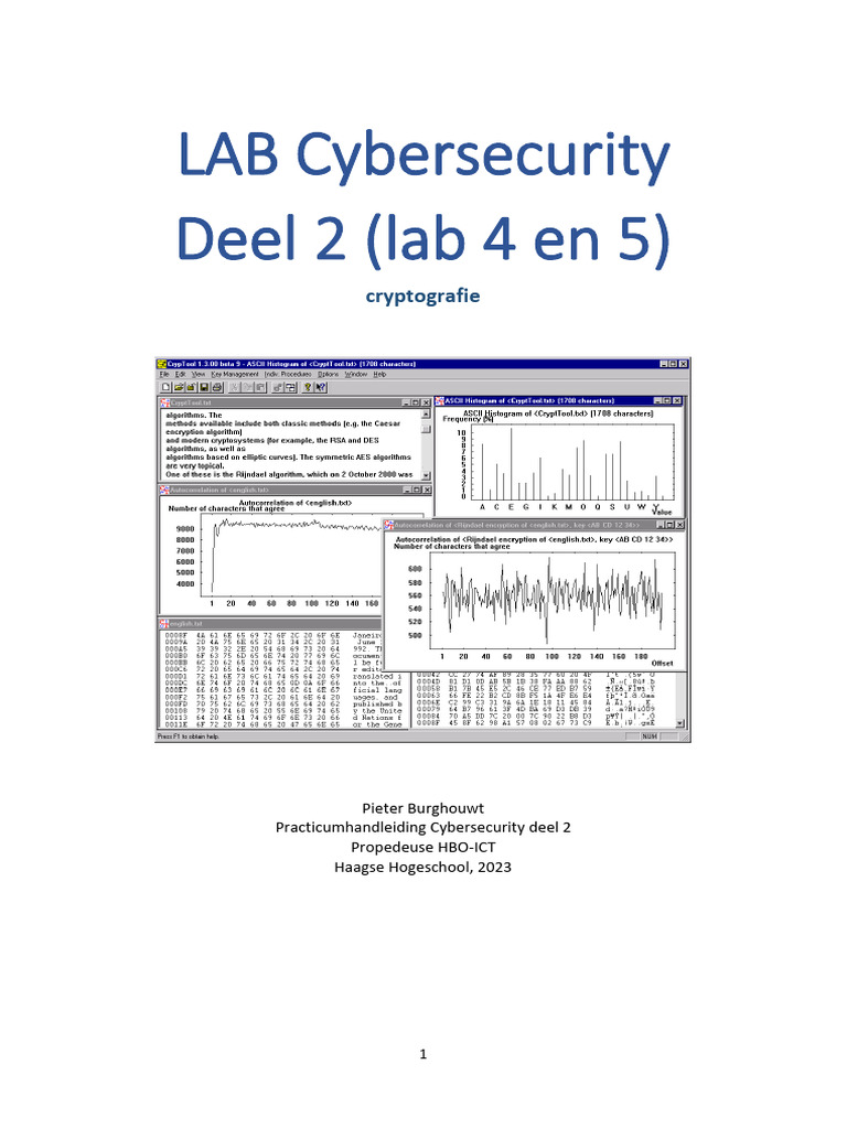 LAB Cybersecurity DEEL2 | PDF