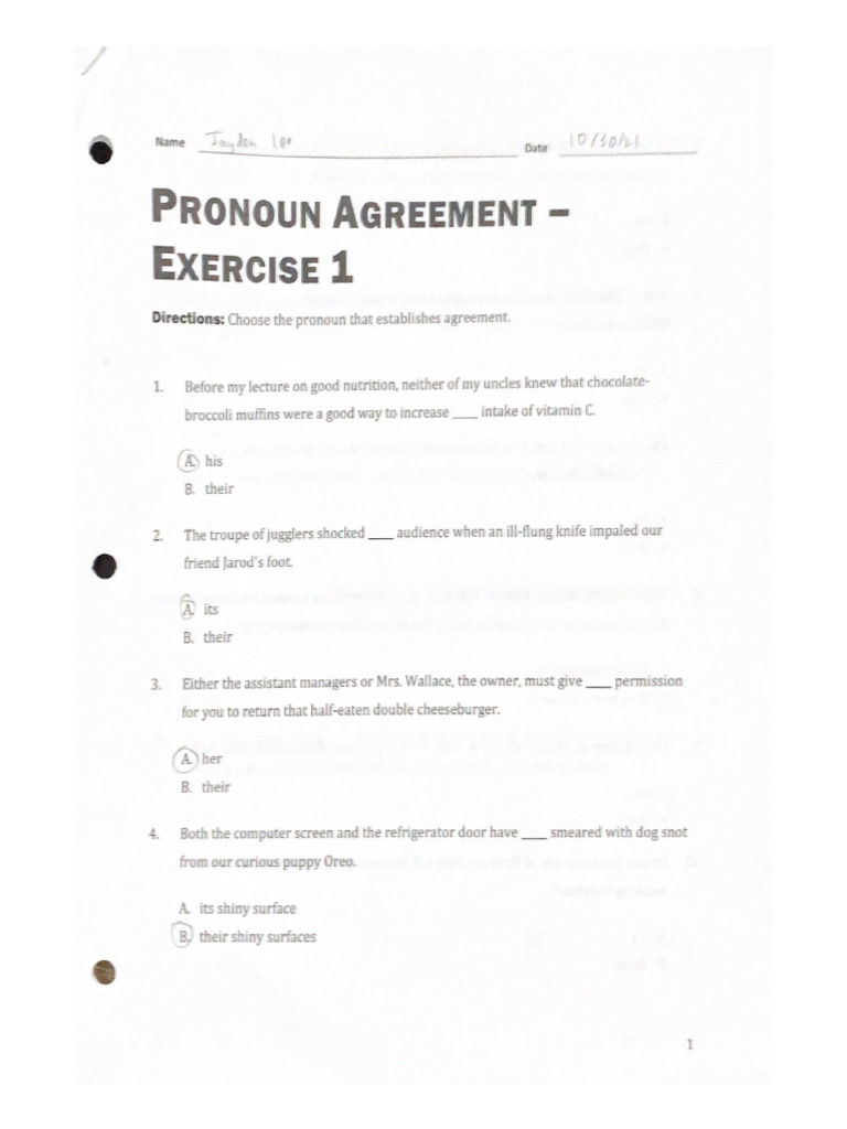 Pronoun Agreement | PDF