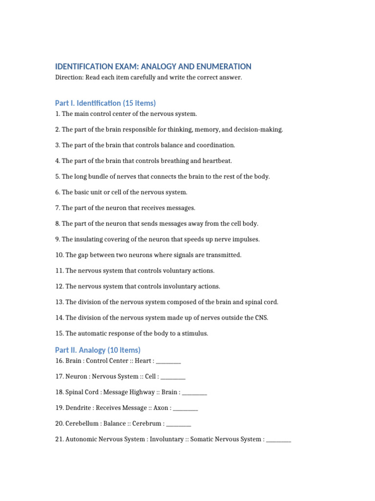 Identification Exam Nervous System | PDF | Central Nervous System ...