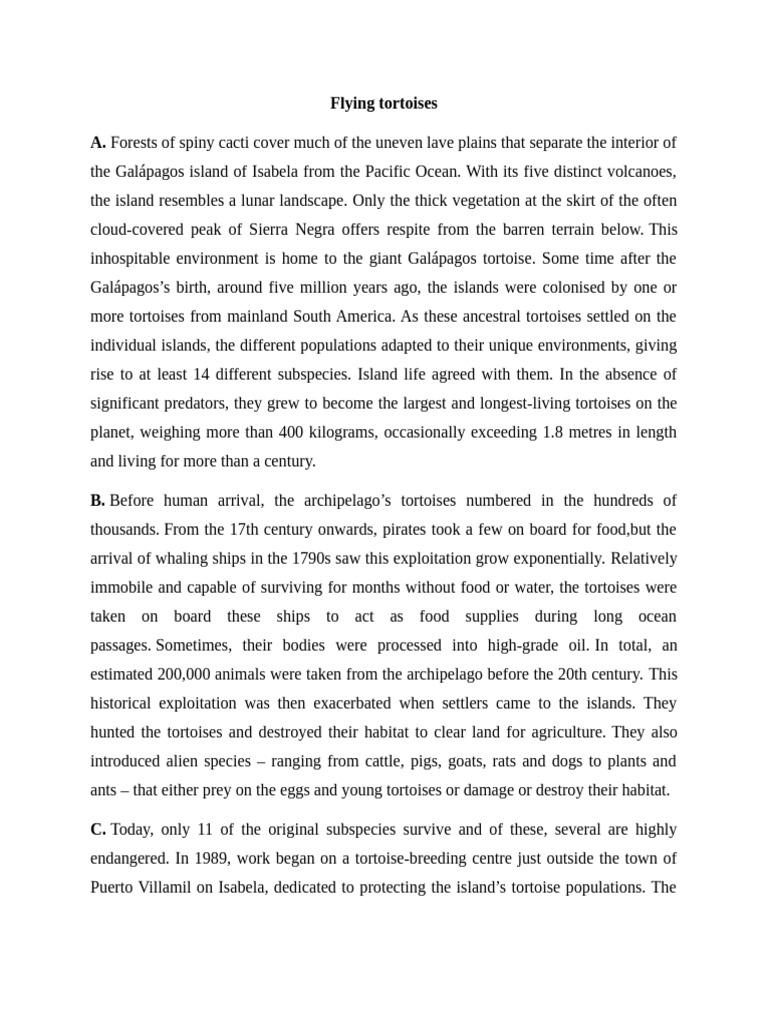 Flying Tortoises | PDF | Galápagos Islands | Island