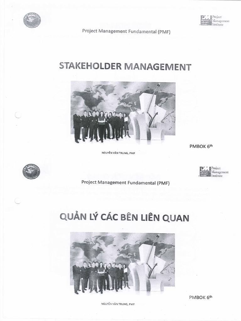 Project Stakeholder Management | PDF