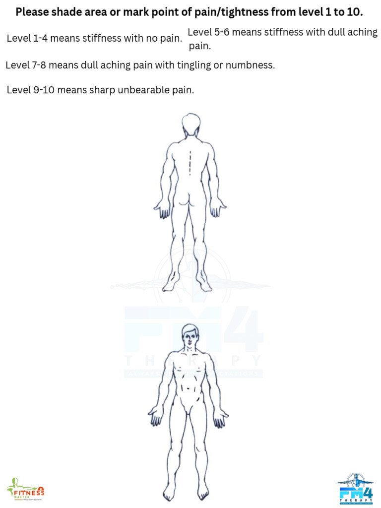 Pain Indicator Sheet | PDF