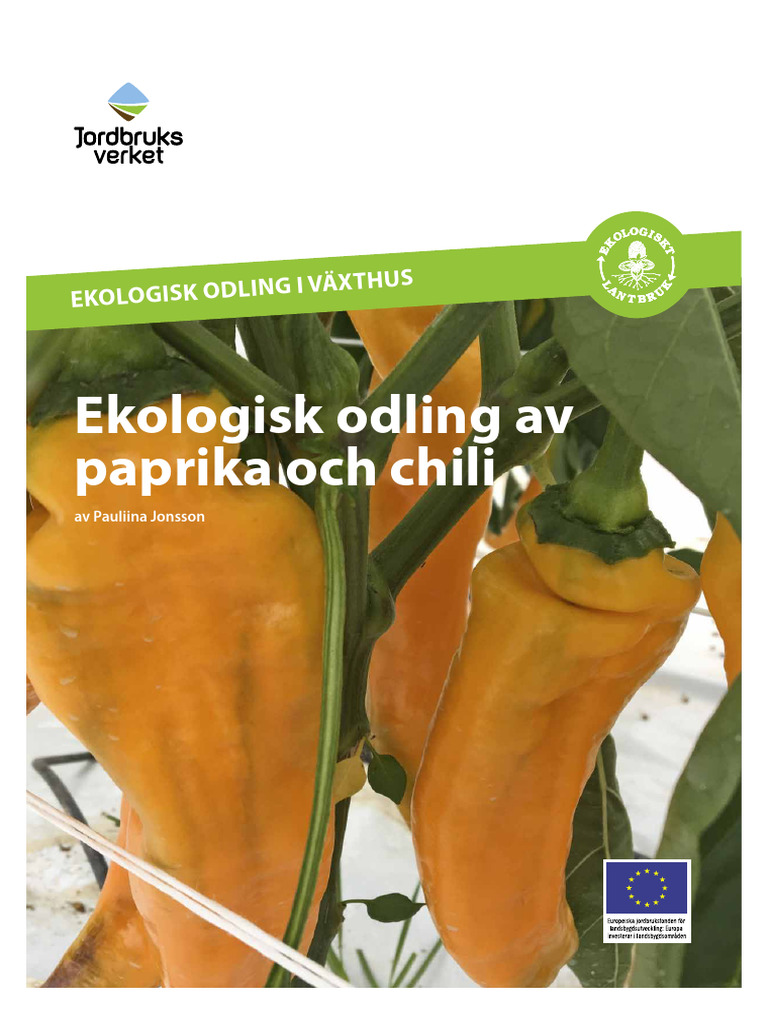 Ekologisk Odling Av Paprika Och Chili | PDF