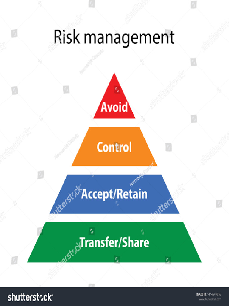 4. Risk Management Pyramid | PDF
