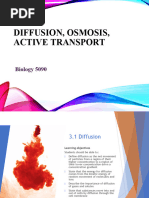Tea Bag Diffusion Experiment Insights | PDF | Diffusion | Water