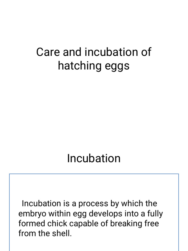 Care and Incubation of Hatching Eggs | PDF | Egg | Birds