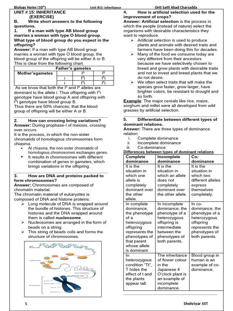Bio Ch15 | PDF | Gene | Dominance (Genetics)